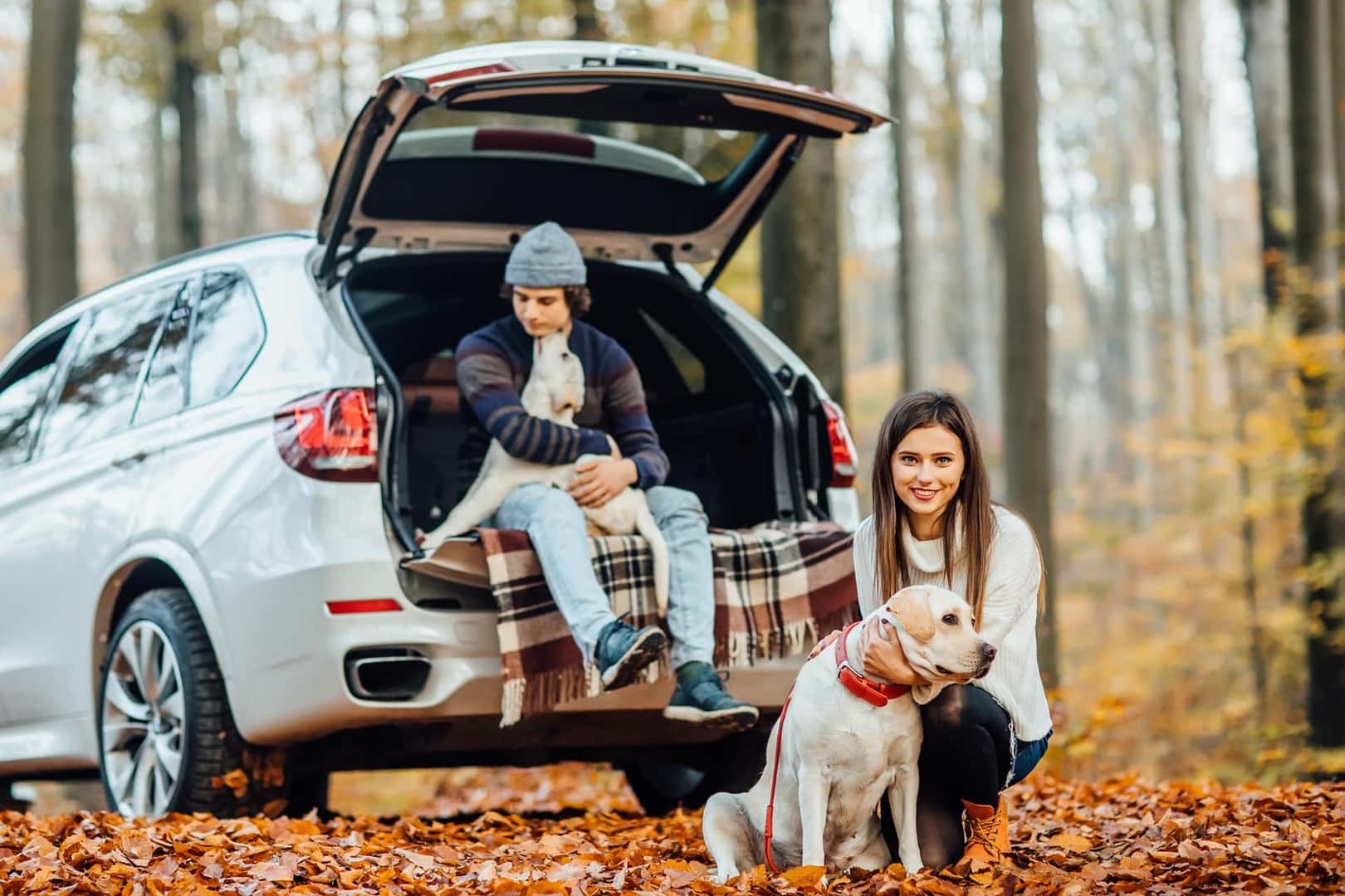 The Perfect Ride: Best Used SUVs for Families in Phoenix, AZ | Arizona ...