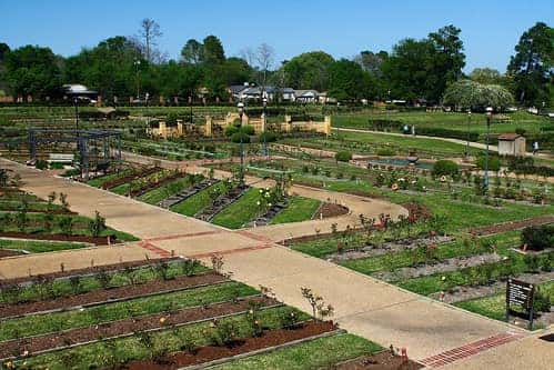 4 Best Museums in Tyler, TX | Classic Toyota of Tyler