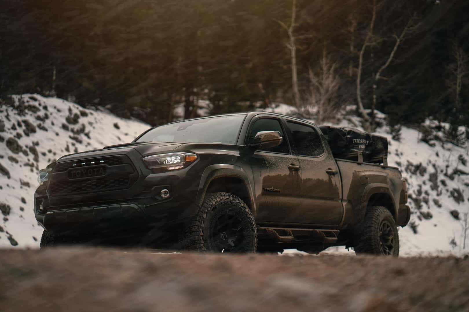 Comparing Trim Levels of the 2023 Toyota Tacoma | Classic Toyota of Tyler