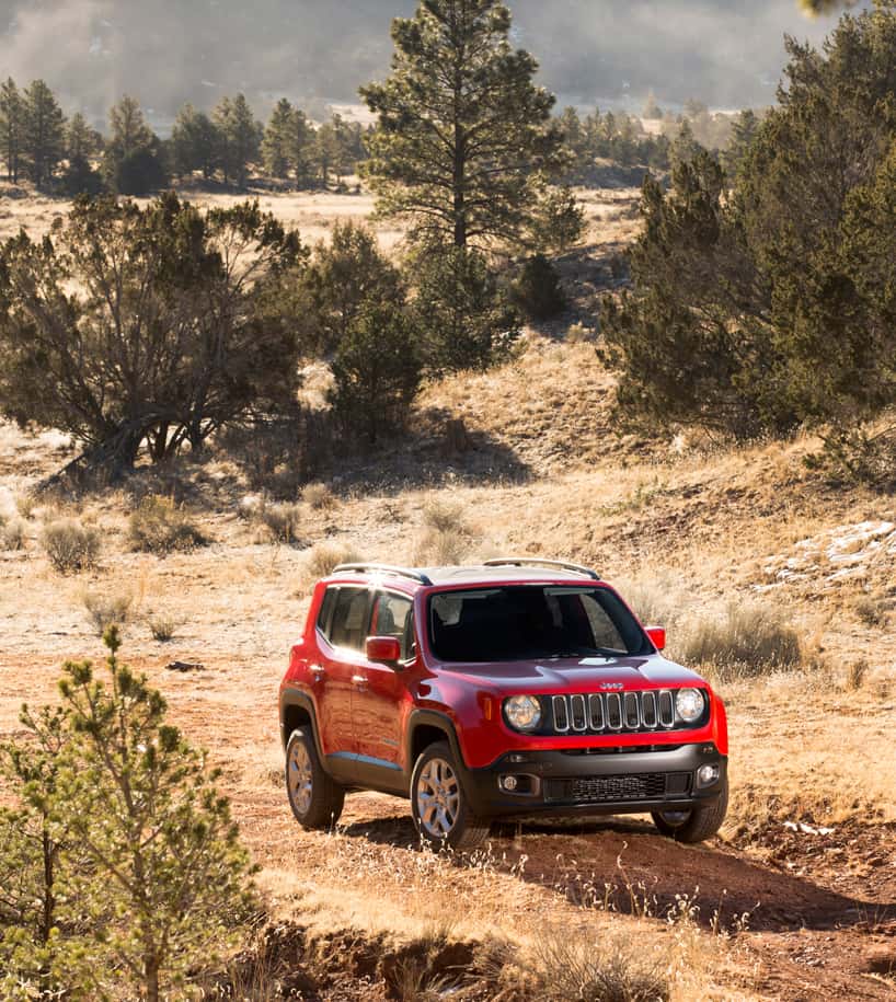 The 2015 Jeep Renegade | Fred Martin Superstore