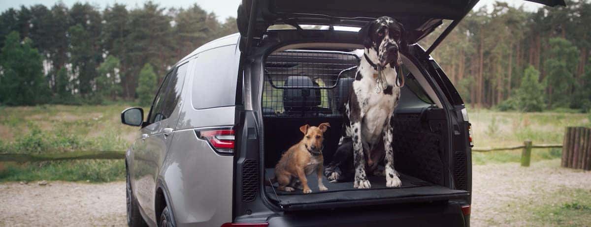 Pet Friendly Land Rover SUV accessories and tips for a road trip