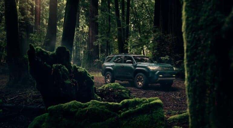 SUV Fun for the Whole Family With the Toyota 4Runner