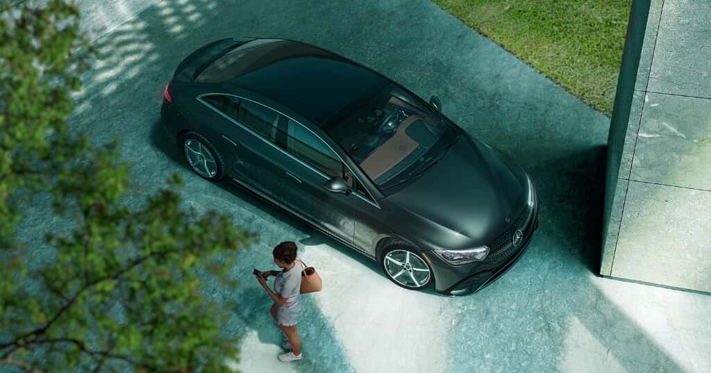 Ray Catena Mercedes Freehold