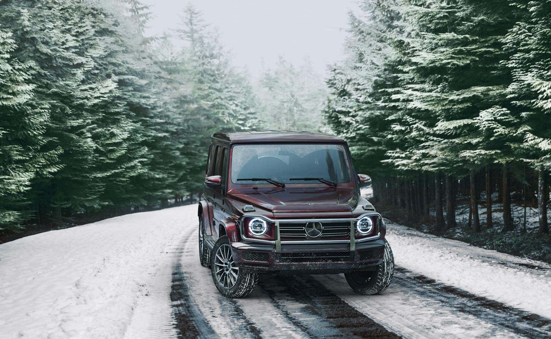 Winter Service Tips | Ray Catena of Freehold